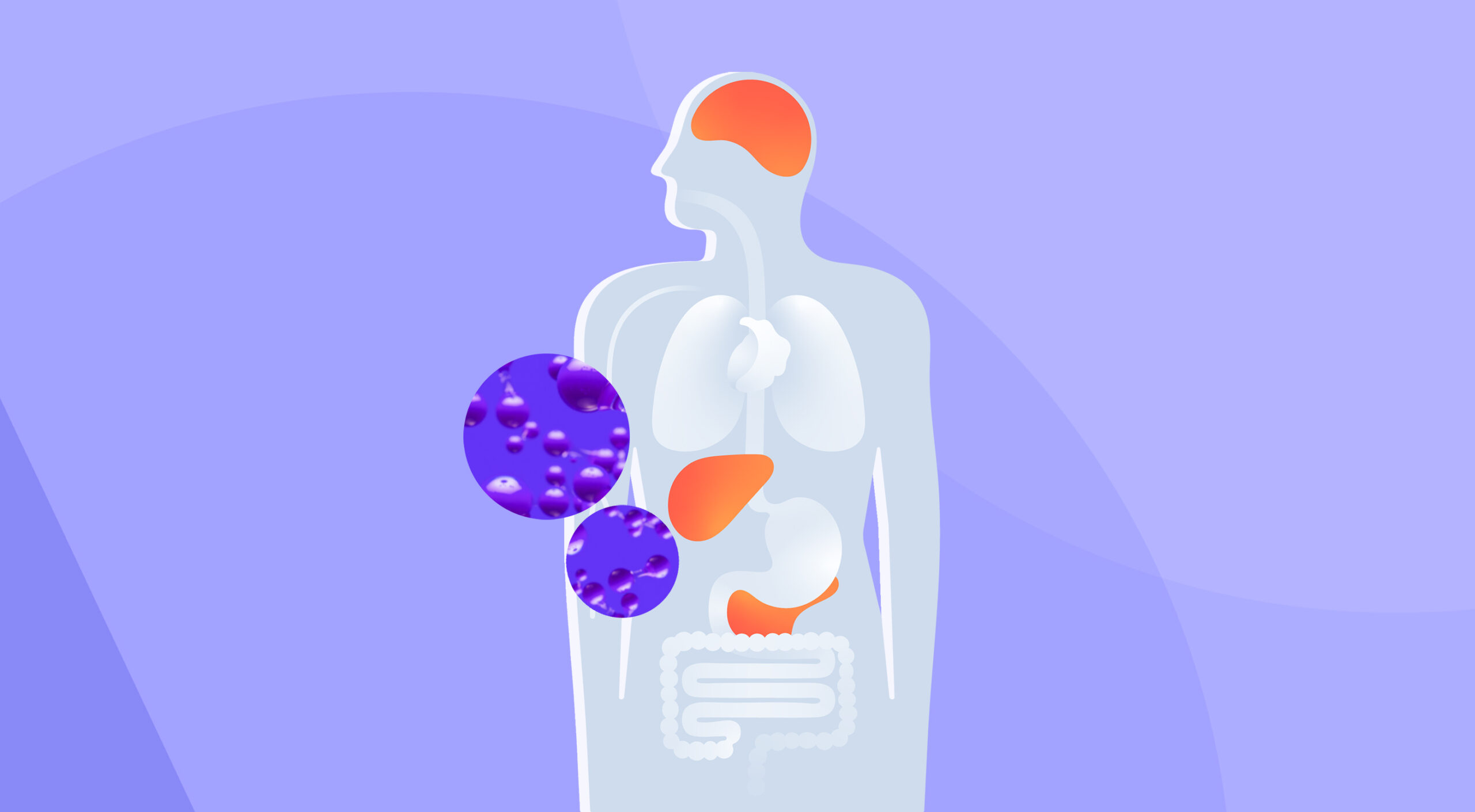 Signs You're in Ketosis Without Testing - Kompanion